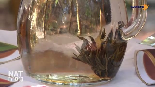 Natmag 9 - Bien-être et Qi Gong - La fleur de Thé - Naturisme TV